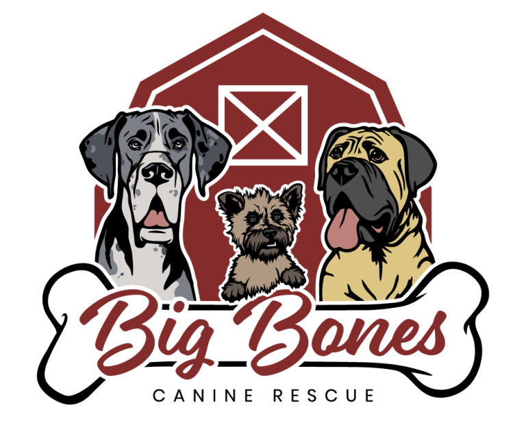 About – Big Bones Canine Rescue