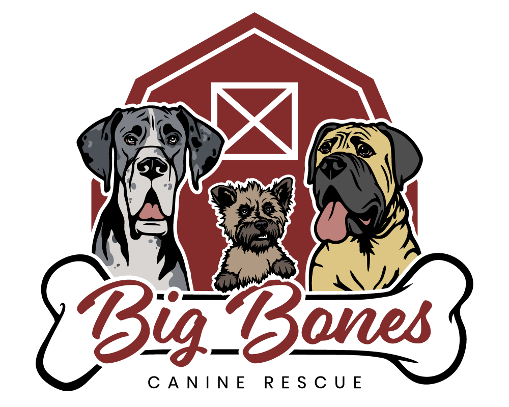 About – Big Bones Canine Rescue